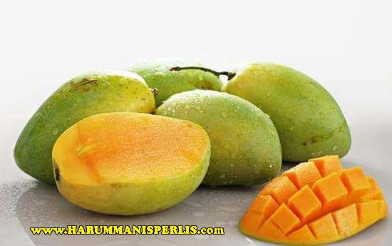 Harummanis Perlis - Harummanis Perlis PENGENALAN